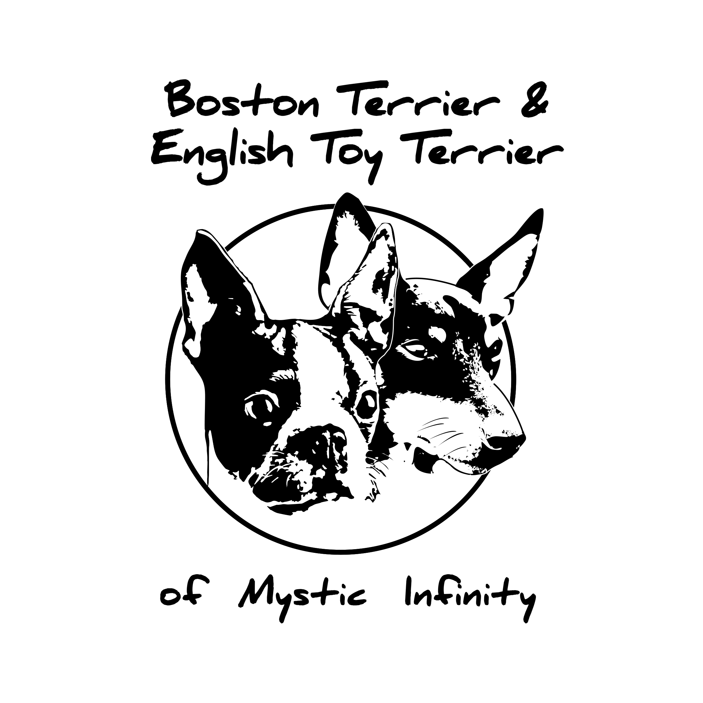 Boston & English Toy Terrier of Mystic Infinity - Zucht
